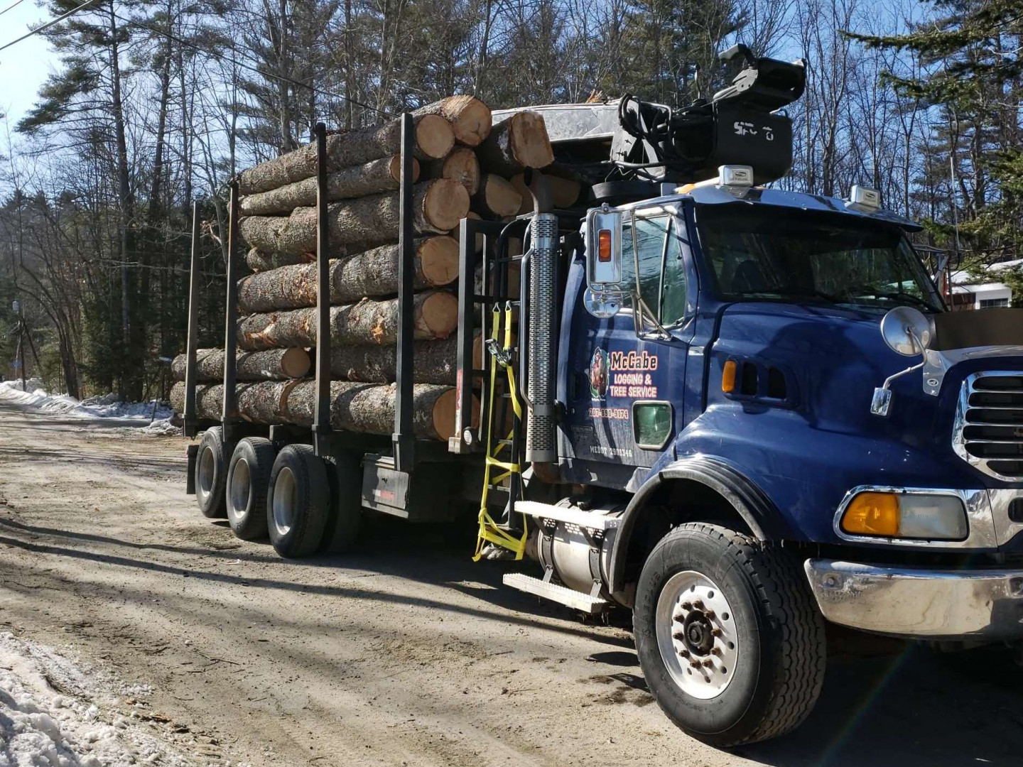 Tree Logging Service | Waterford, Bridgton & Lewiston, ME | McCabe ...